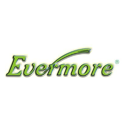 EMO Exhibitor 2025: EVERMORE